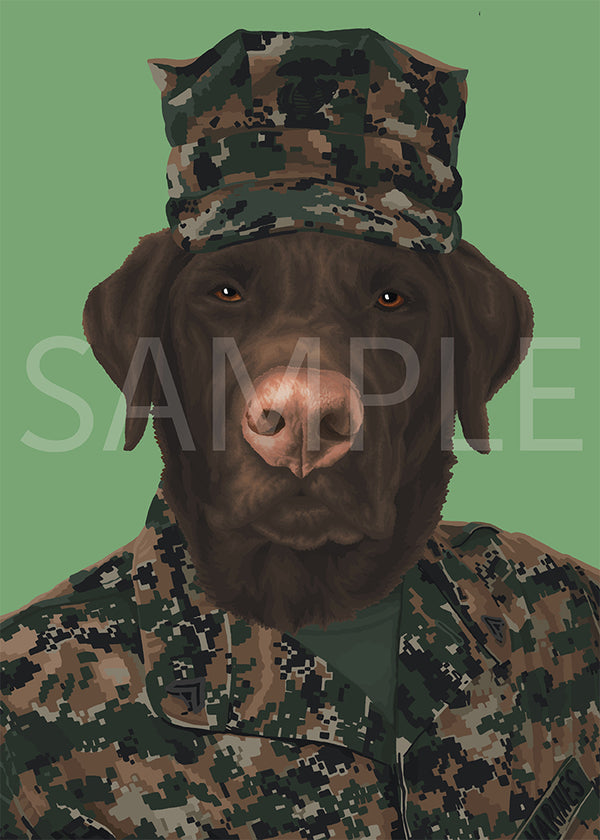 Labrador Retriever Chocolate in Marine Forest Camo Greeting Card (Chip ...