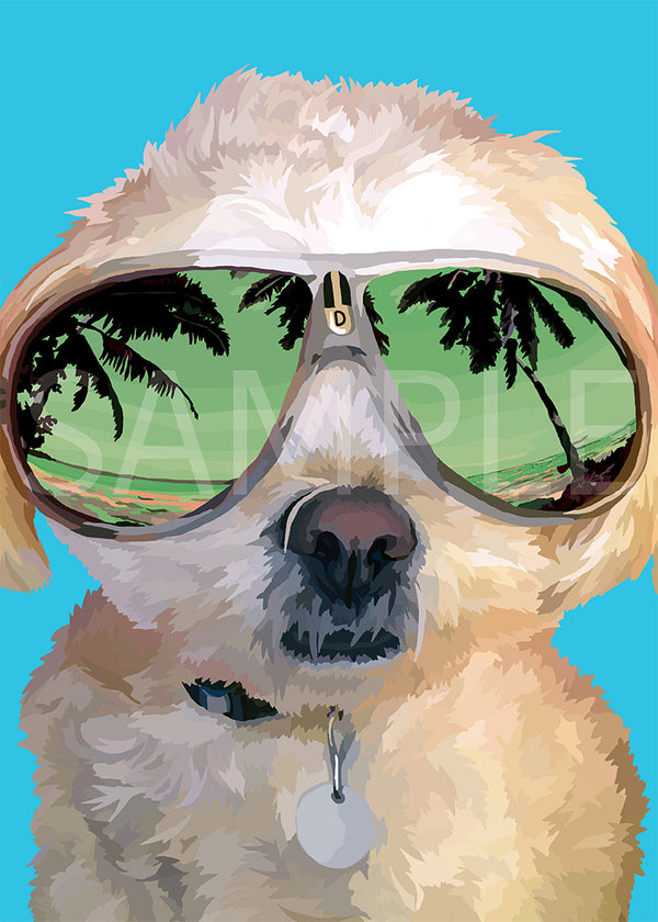 Cockapoo with Sunglasses on Blue Greeting Card (Dexter) - Wet Nose ...